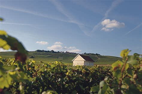 Louis Roederer Spår Framtiden Med Historien Vinsider