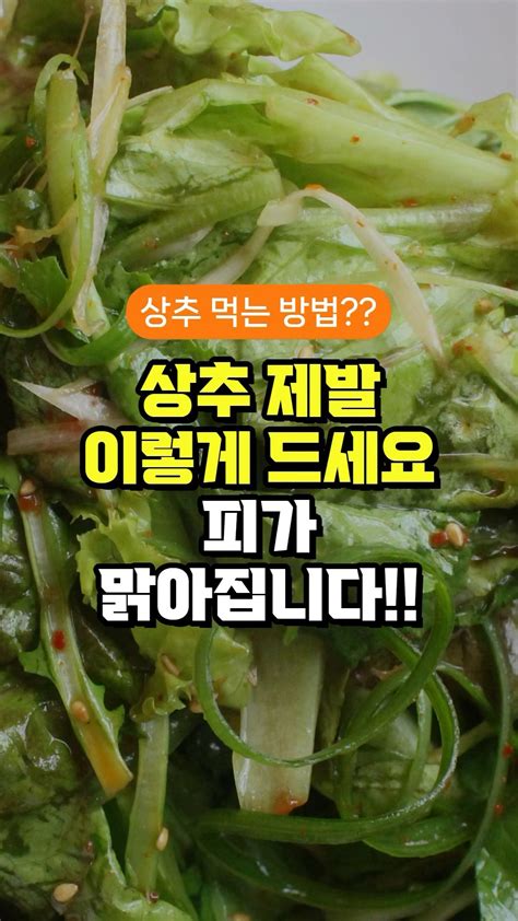 상추 제발 이렇게 드세요 피가 맑아집니다 상추와 함께 먹으면 좋은 음식 상추 먹는 3가지 방법 50대 중년 이후