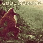 Funny Good Morning S Tenor