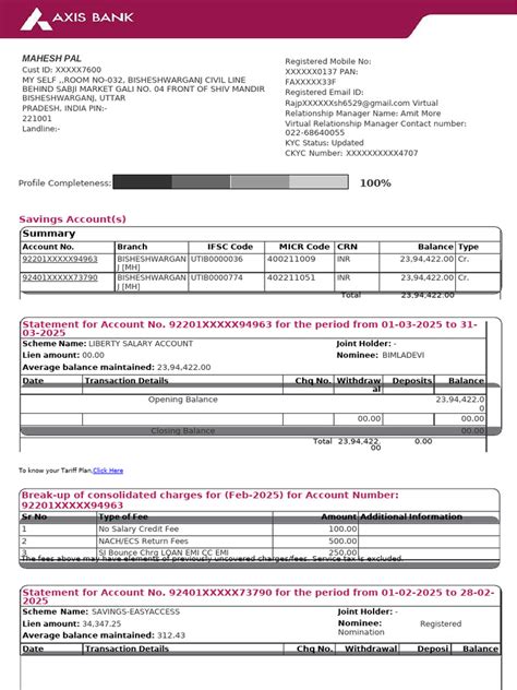 Axis Bank Account Statement Summary Pdf Debit Card Banks