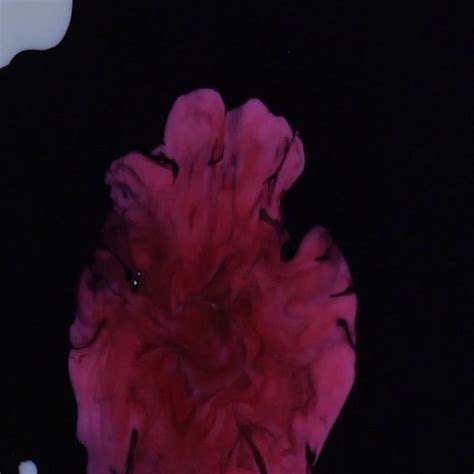 Calm Compass Calm Compass