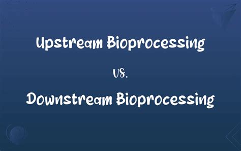 Upstream Bioprocessing Vs Downstream Bioprocessing Whats The Difference