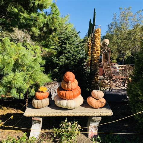 The Great Pumpkin Patch Home Facebook