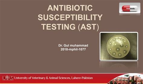 Antibiotic Sensitivity Testing Ast Pptx