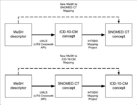 Finding New Mappings Of Mesh Descriptors To Icd 10 Cm And Snomed Ct Download Scientific Diagram