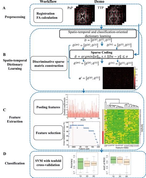 Schematic For The Classification Of Psp And Ttp In Patients With Gbm