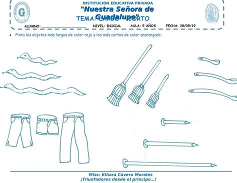 Objetos Largos Y Cortos Clave En Tamaño Y Usos