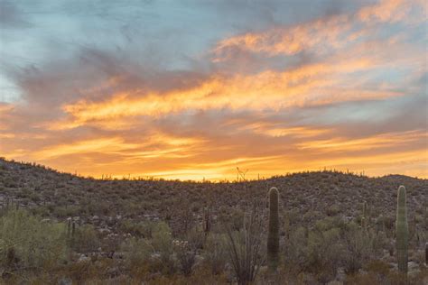 The Spectacular Desert View Trail In Organ Pipe Cactus Nm Tobinka