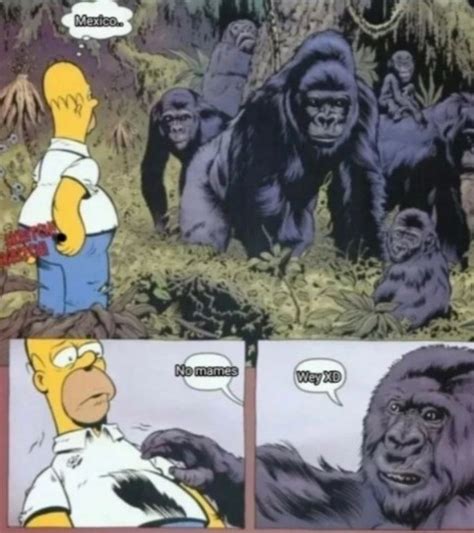 Top Memes De Gorila En Español Memedroid