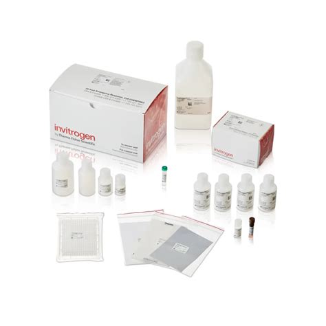 赛默飞invitrogenqp1016quantigene Plex 384 Well Assay Kit价格品牌invitrogen 丁香通官网