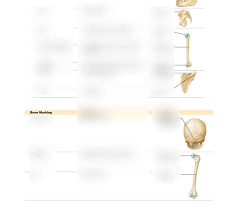Part Two Diagram Quizlet