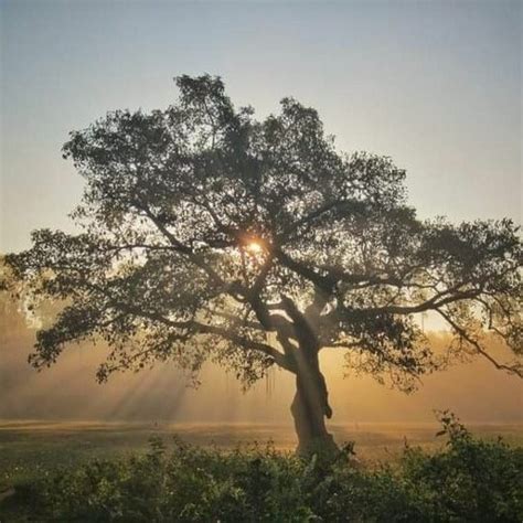 Stream Durood E Wali Friday Darood By Yeaklima Munny Listen Online For Free On Soundcloud