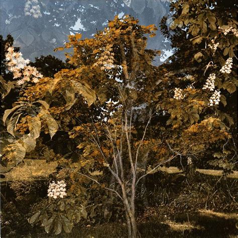 B Q And A With Stephen A Scheer Part 2