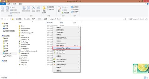 安装setuptools和pip安装pip 2201setuptool Csdn博客