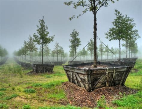 תפילה ל 11 בספטמבר Memorial Prayer For Those Whose Lives Were Lost On