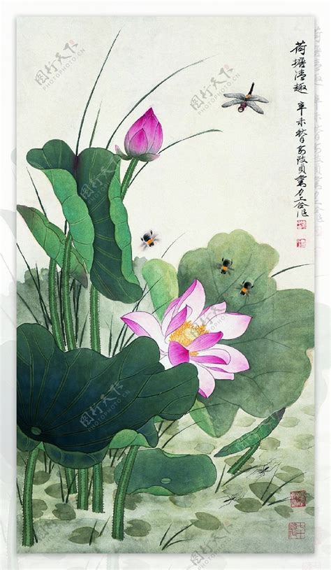 国画荷花图片素材 编号29676129 图行天下
