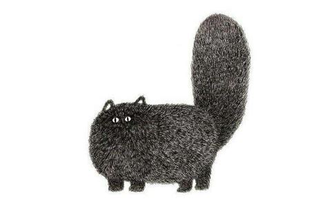 گربه و بادکنک