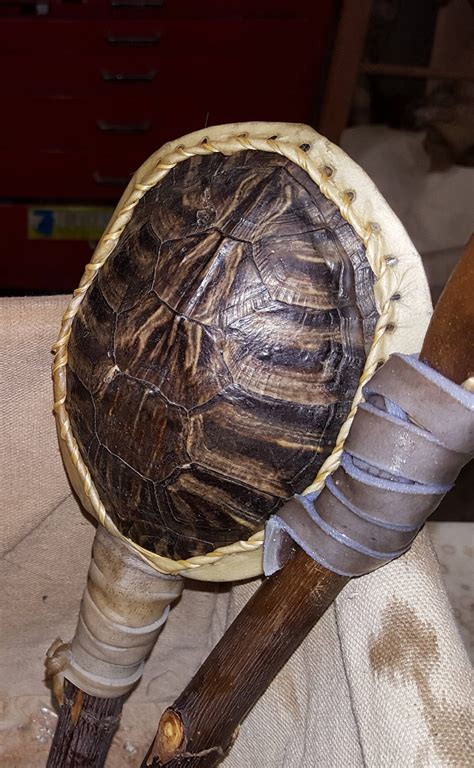 Turtle Shell Rattle Etsy