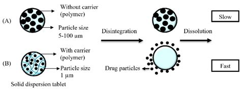 Drug Dissolution Rate In A Solid Dispersion System A Without A Download Scientific Diagram