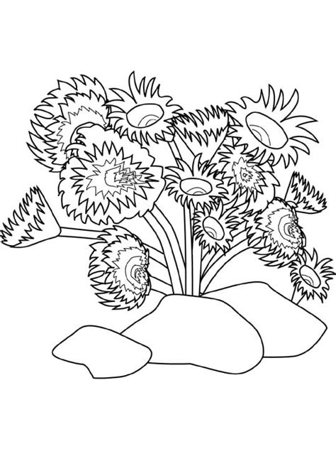 Tube Worms Coloring Page Download Print Or Color Online For Free
