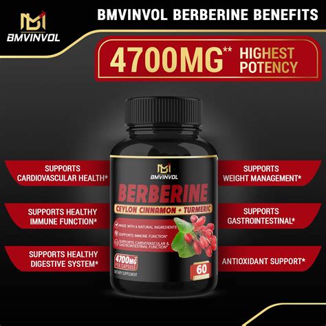 2 Packs Berberine Supplement Plus Ceylon Cinnamon Turmeric 120 Capsules