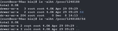 隐藏 linux 进程新姿势mount websec80 博客园