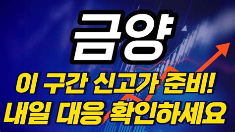 금양 이 구간 신고가 준비 내일 대응 확인하세요 Youtube