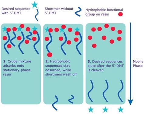 Oligonucleotide Purification