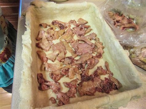 Cannundrums Peacock And Vegetable Pie