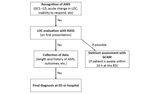 Altered Mental Status Amboss Rotation Prep
