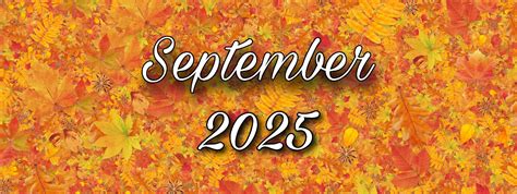 Happy Planner Babes Any Idea If They Will Release More Skinny Mini Planners Before The End Of