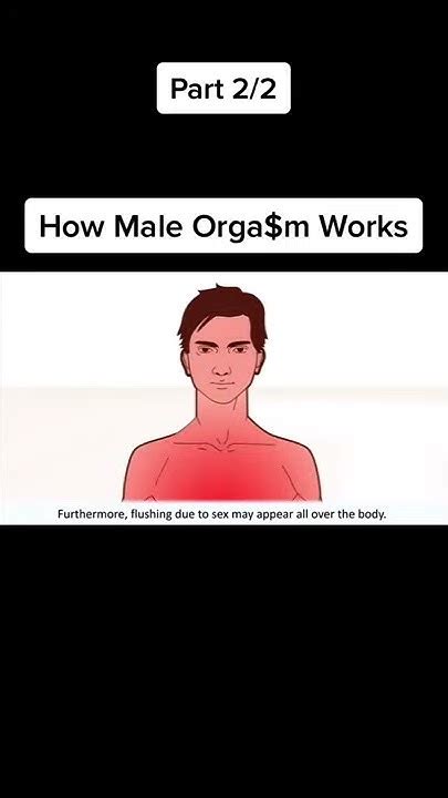 How Male Orgasm Works Youtube