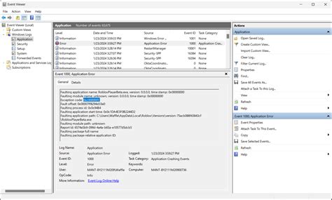 Application Crash When Launching Roblox Player Platform Usage Support