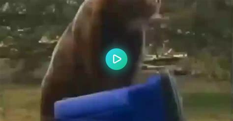 Chest Compression Chest Compression Album On Imgur