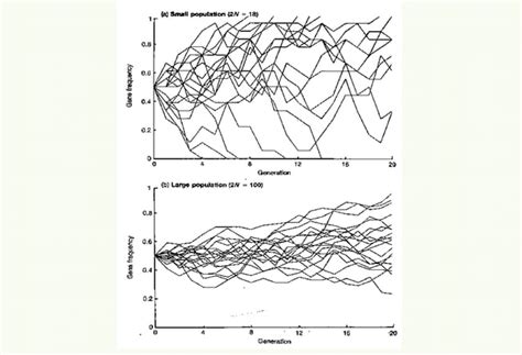 Population Genetics Basic Concepts Pdf