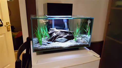 Fluval Edge 23l 6 Gallons Youtube
