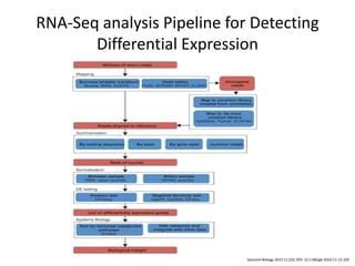RNASeq Analysis Pipeline For Differential Expression PPTX Genetics Science