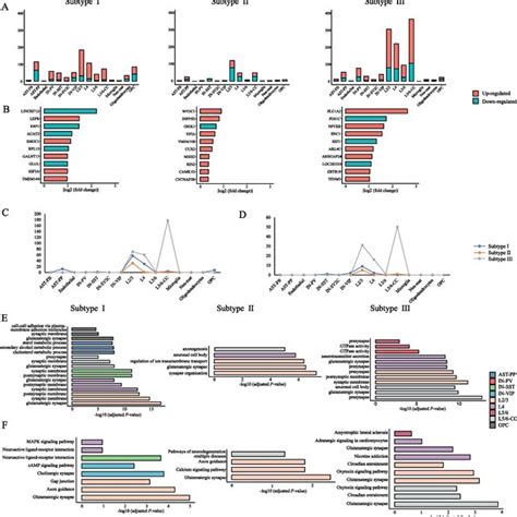 Analytical Workflow Including A Molecular Subtype Recognition B