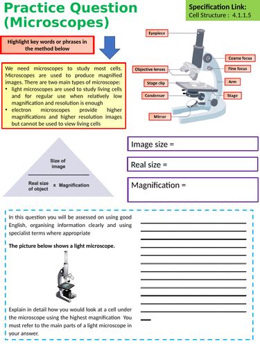 Ks4 Aqa Gcse Biology Science Microscope Lessons Teaching Resources