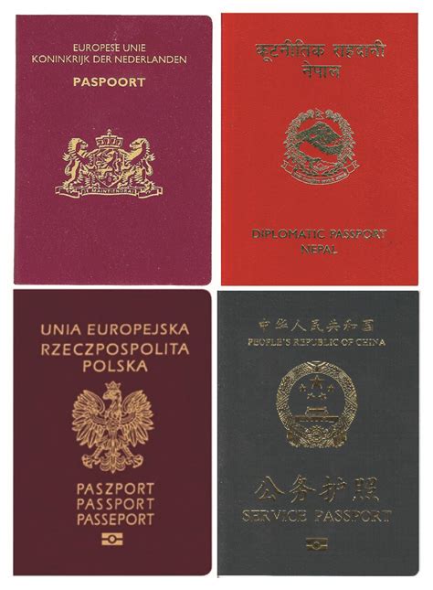 Foreign Passport Visa