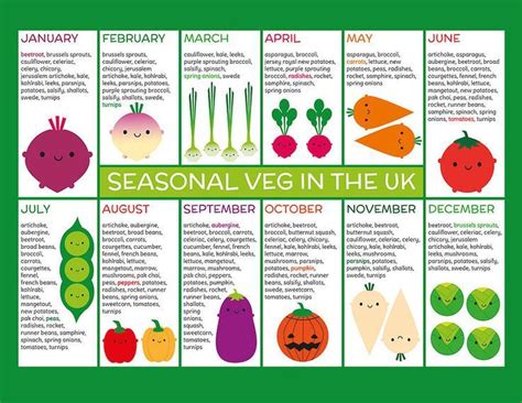 Fruit And Veg Chart Educational Chart Resources