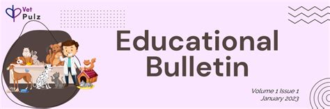 Why Cloud Based Veterinary Practice Management Software Is Important