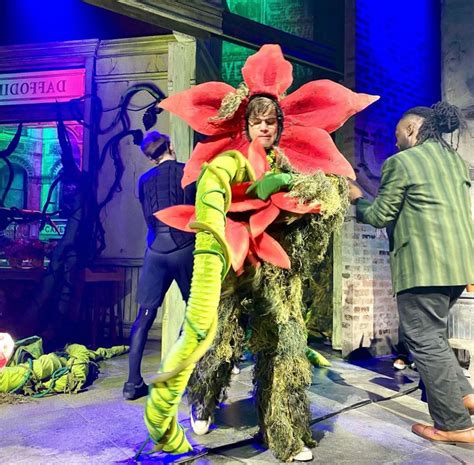 Little Shop Of Horrors Artofit
