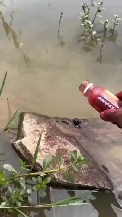 Thomas Troska On Linkedin Men Will Be Men 🤣