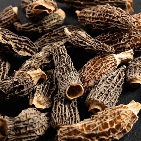 All About Morels Maison Borde
