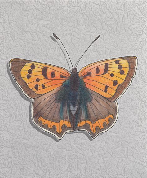 Small Cooper — Melbryarts