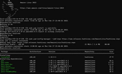 Subindo Uma Ec2 Com Aws Linux E Executando O Primeiro Recurso De Iac