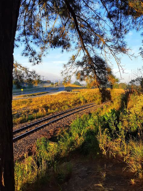 Pathway Field Trees Free Photo On Pixabay Pixabay