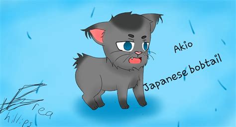 Adorable Kitty By Tizzytiger On Deviantart