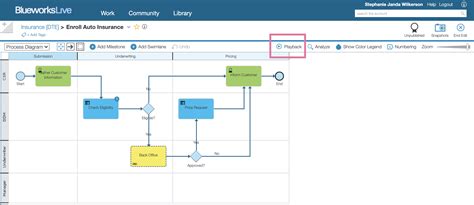 Introduction To Process Playback In Blueworks Live